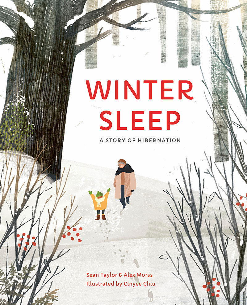 Winter Sleep - Sean Taylor Stories