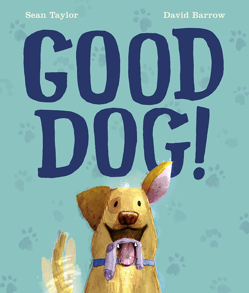 GOOD DOG Sean Taylor Stories good-dog-sean-taylor-stories